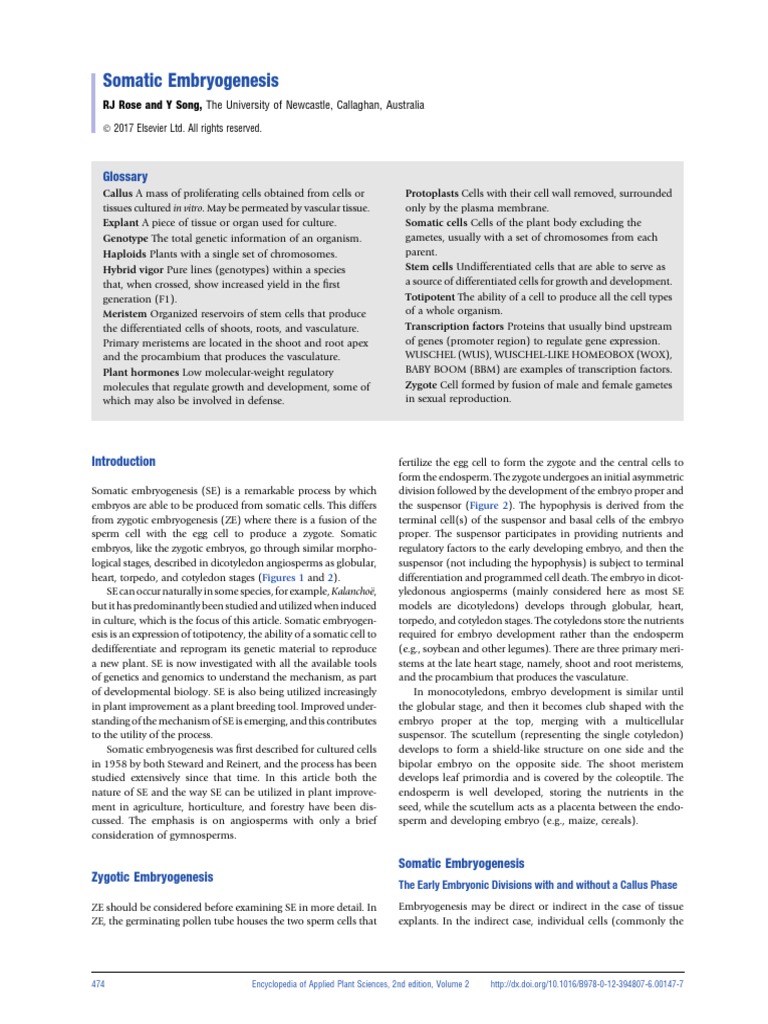 Somatic Embryogenesis PDF | PDF | Plant Hormone | Embryo