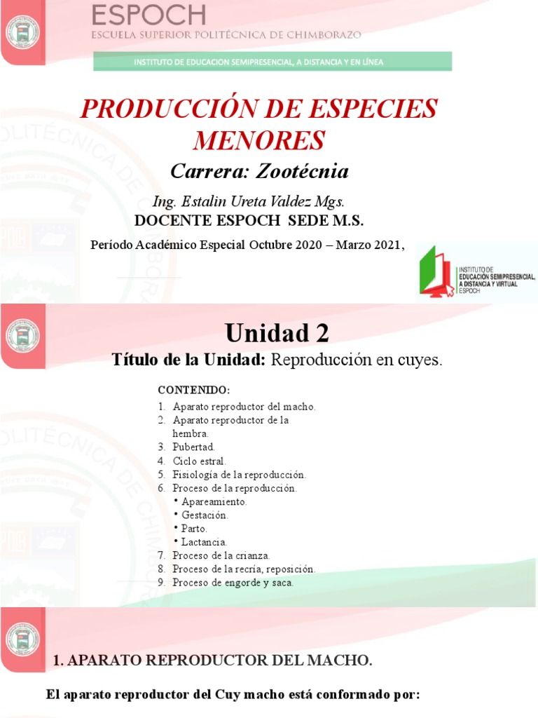 Aparato reproductor del cuy macho | PDF | Testículo | Sistema ...