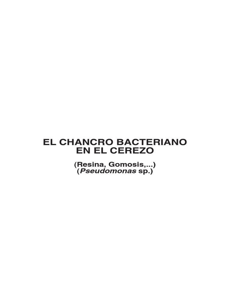 Chancro Bacteriano en Cerezos: Síntomas y Daños | PDF | Arboles | Calcio