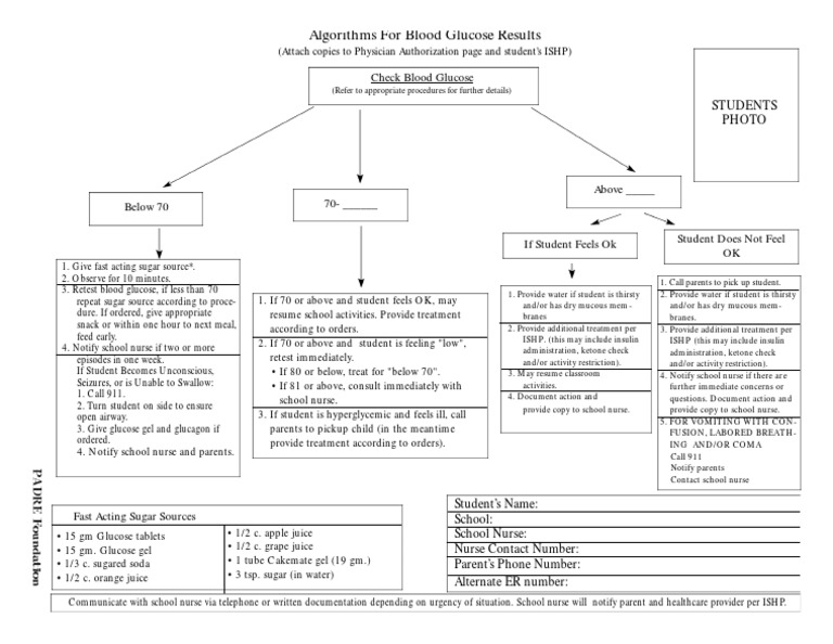 BG School Flow Chart | PDF | Hyperglycemia | Diabetes