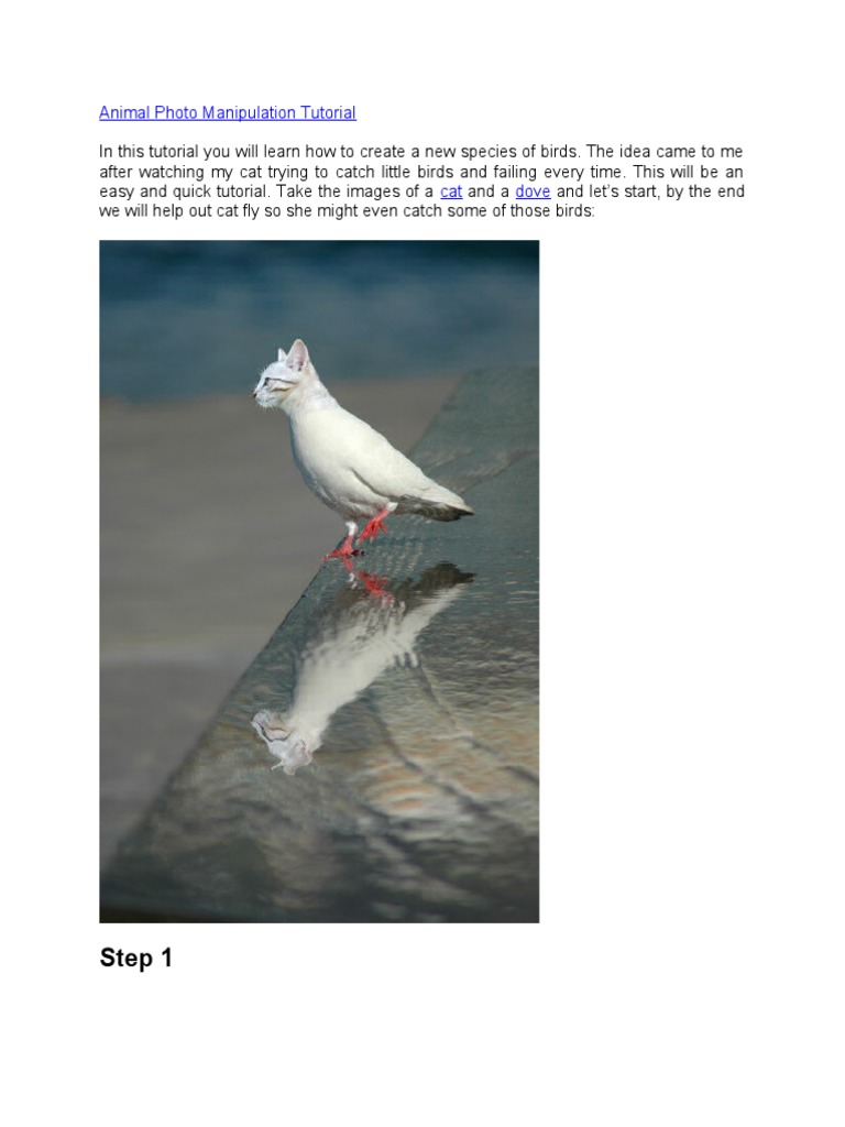 Create Unique Bird Species in Photoshop | PDF | Adobe Photoshop ...
