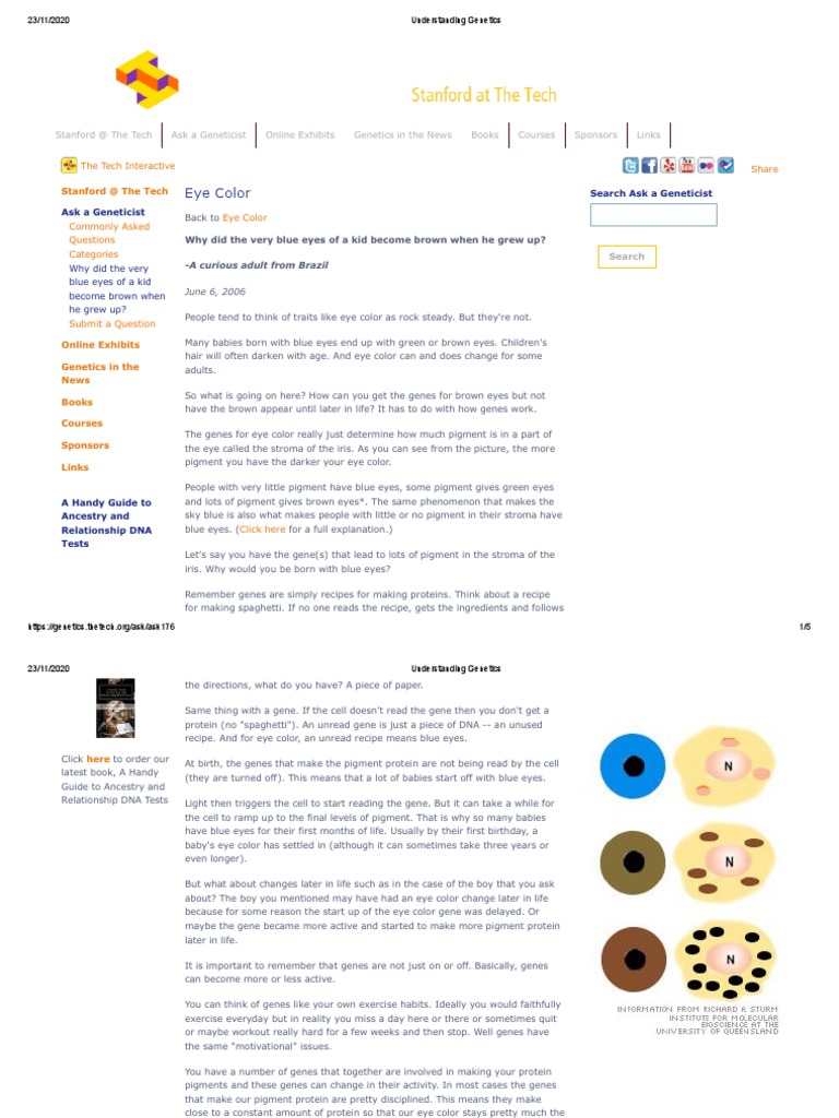 Eye Color: Stanford at The Tech Ask A Geneticist Online Exhibits ...
