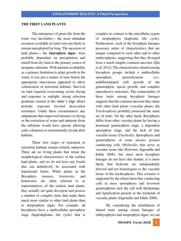 The First Land Plants: EVOLUTIONARY BIOLOGY: A Plant Perspective | PDF ...