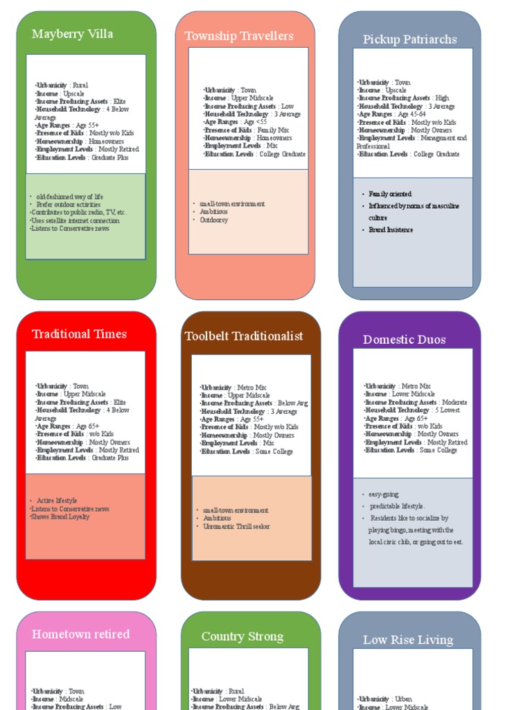 MKT 460 Prizm Profile | PDF | Social Science | Law