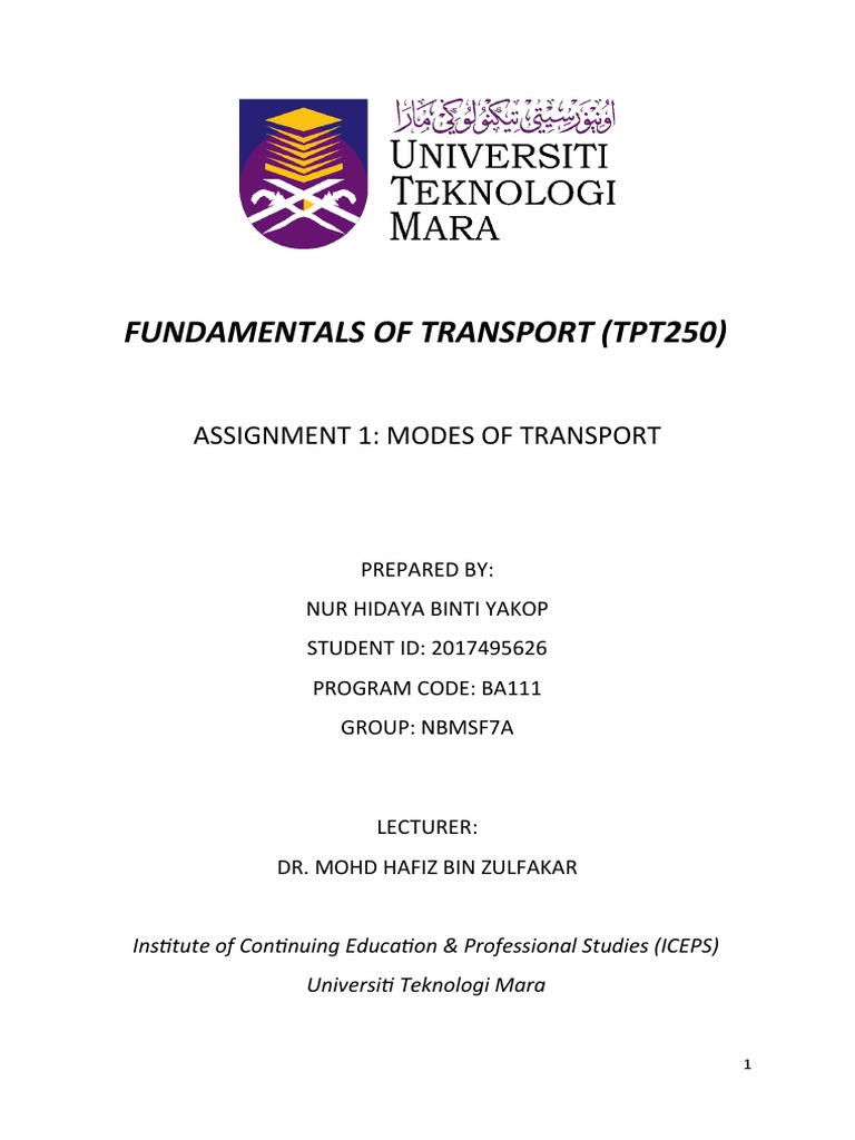 Assignment 1 Modes of Transport | PDF | Airlines | Transport