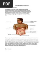 Anatomy and Physiology of Acute Gastroenteritis | PDF | Stomach ...