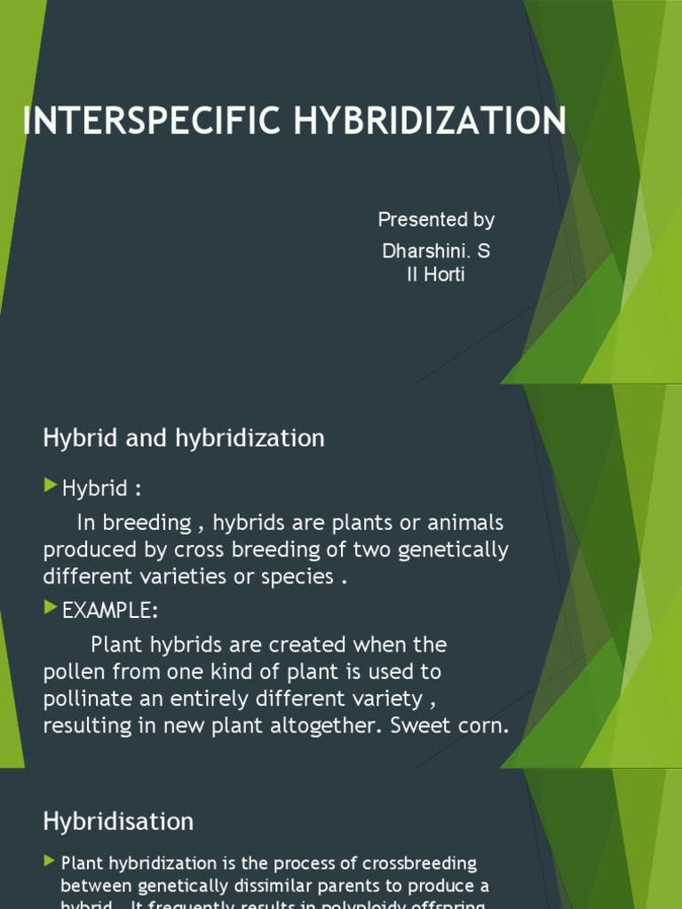 INTERSPECIFIC HYBRIDIZATION BETWEEN PLANTS | PDF | Hybrid (Biology ...