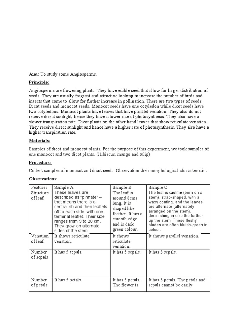 Biology - Lab Report 6 | PDF | Leaf | Petal