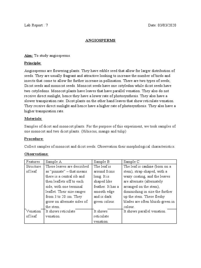 Biology - Lab Report 7 and 8 | PDF | Leaf | Petal