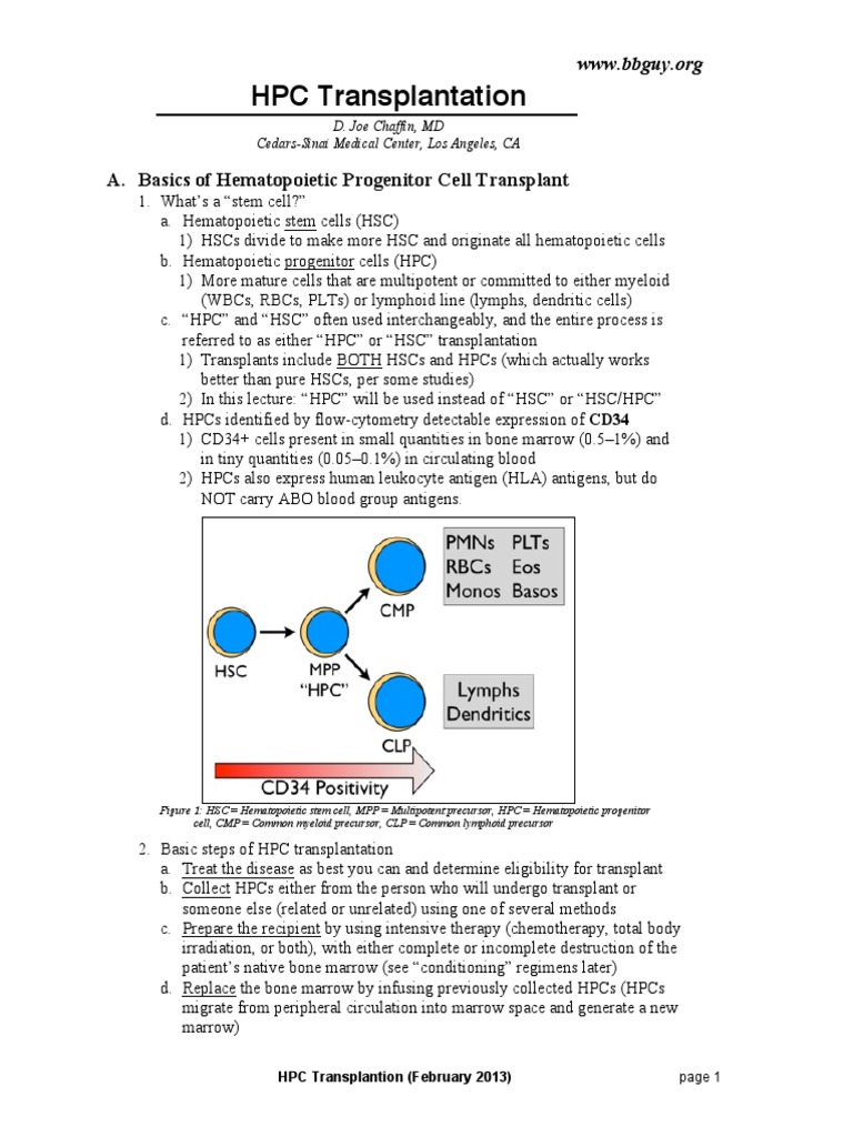 HPC Transplantation: A. Basics of Hematopoietic Progenitor Cell ...