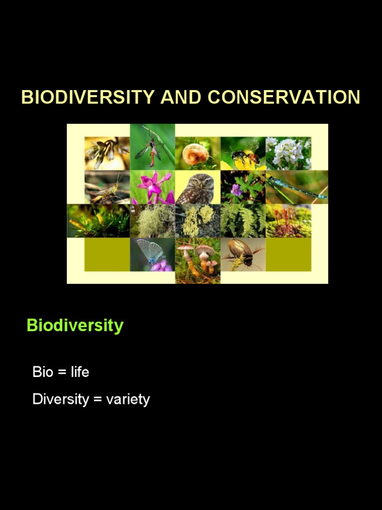 Biodiversity and Conservation | PDF | Biodiversity | Conservation Biology