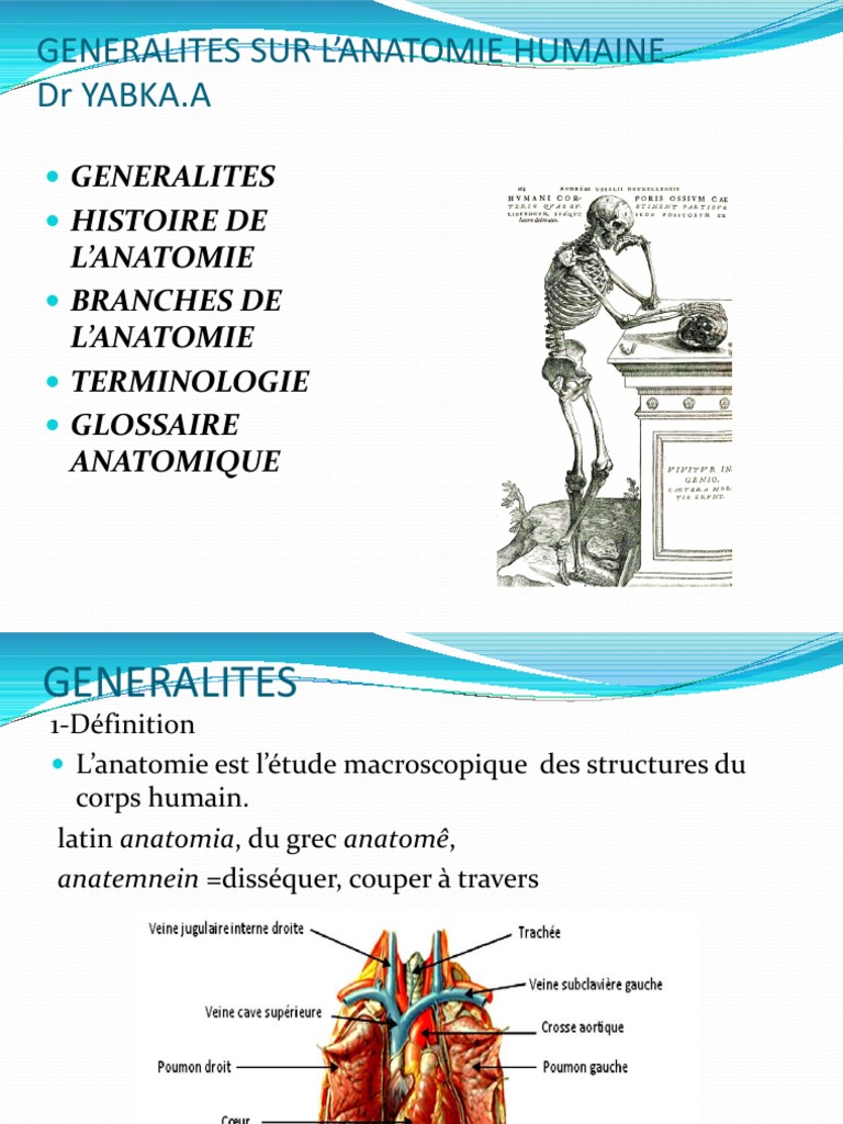 Généralités sur l'anatomie humaine | PDF | Système de référence en ...
