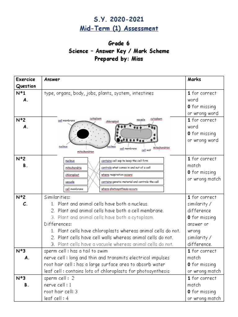 Mid-Term Assessment Term 1 Grade 6 Science Paper 1 Answer Key | PDF | Cell (Biology) | Chloroplast