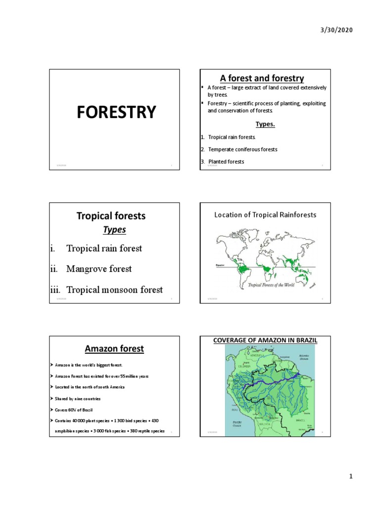 S.3 GEOGRAPHY Forestry in Africa PDF | PDF | Forests | Trees