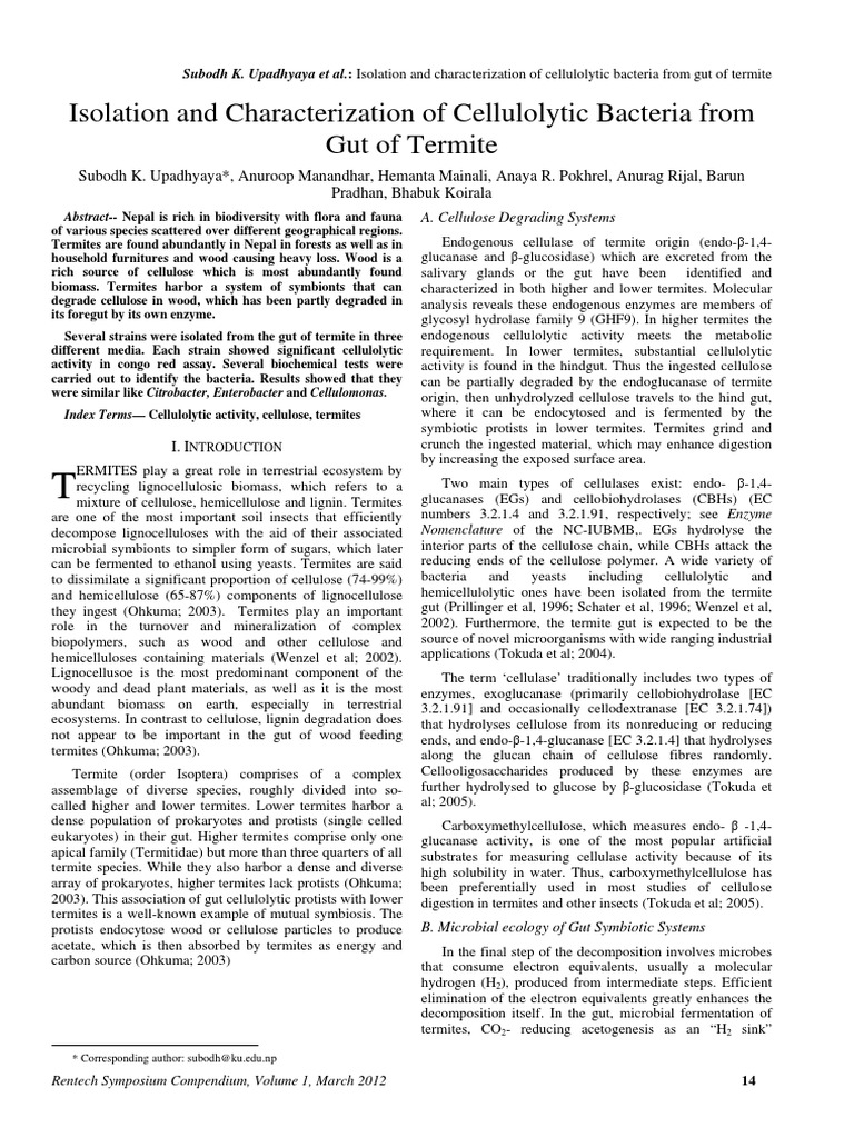Isolation and Characterization of Cellulolytic Bacteria From Gut of ...