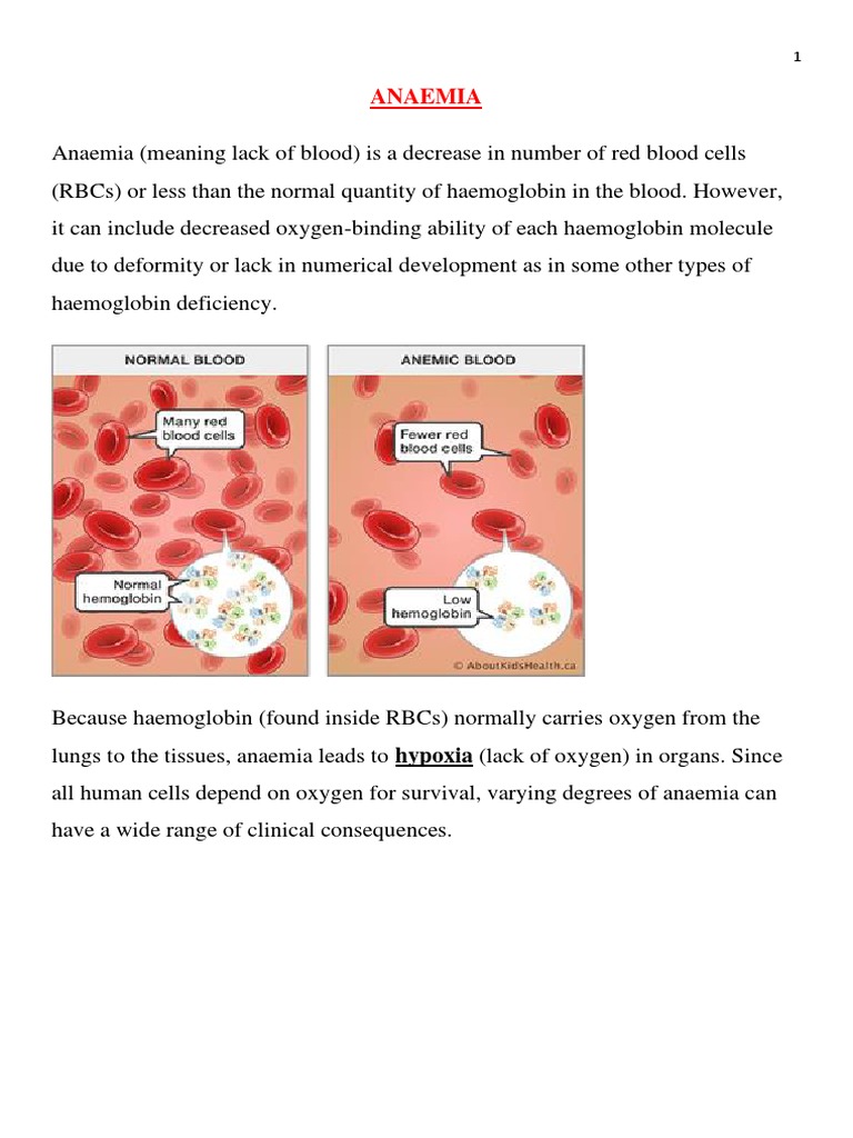 Causes and Types of Anaemia Explained | PDF | Anemia | Vitamin B12