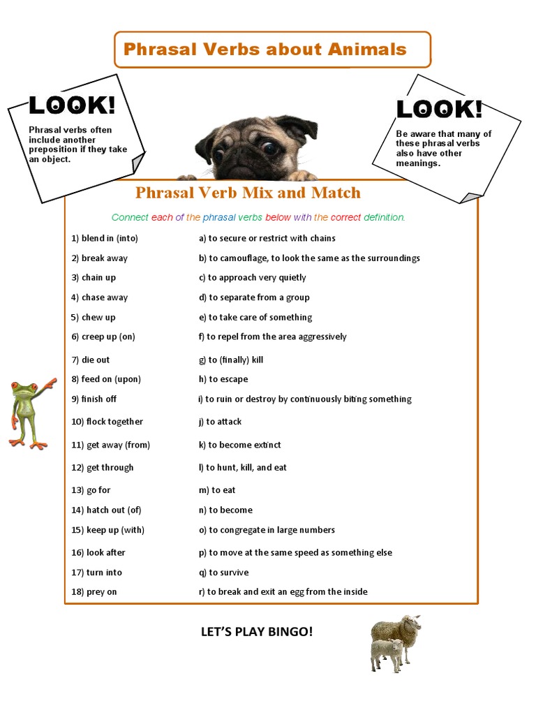 Phrasal Verbs About Animals CLT Communicative Language Teaching ...