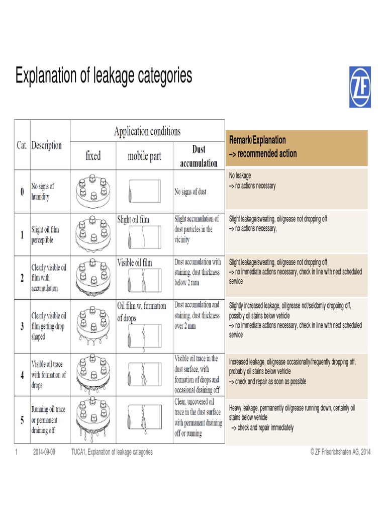Explanation of Leakage Categories | PDF
