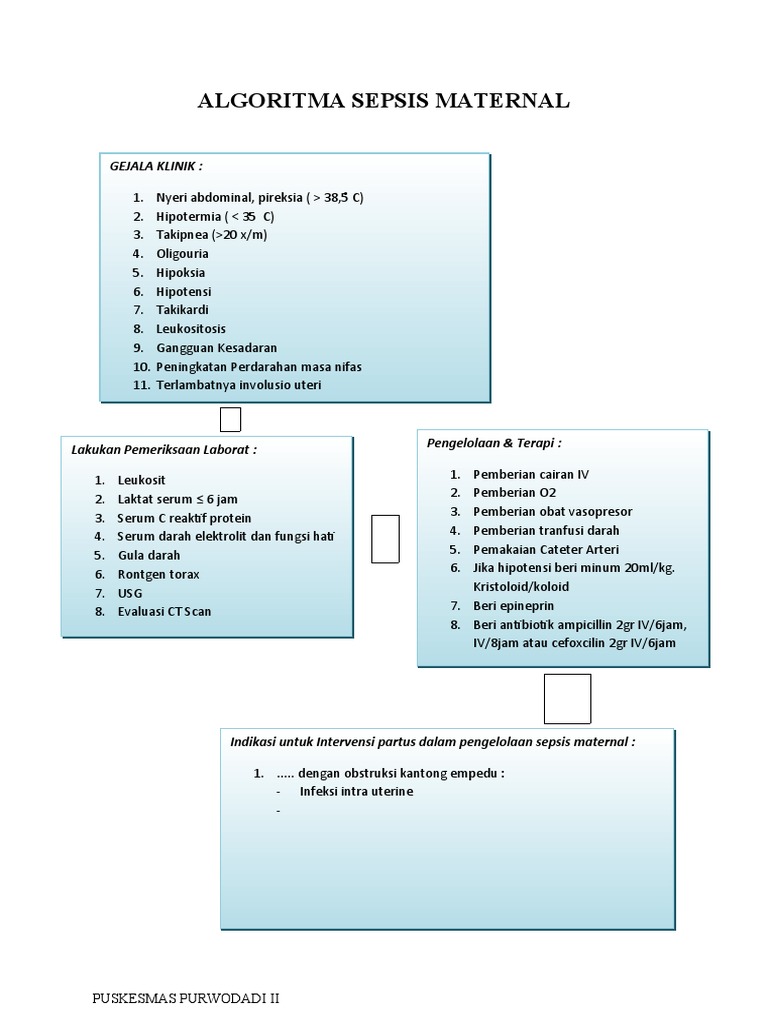 Algoritma Sepsis Maternal | PDF | Sains & Matematika