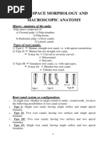 Maxillary Injections Cheat Sheet | PDF | Dentistry | Dentistry Branches