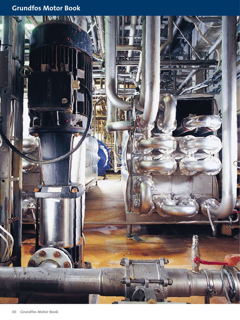 30 Grundfos Motor Book | PDF | Electric Motor | Power (Physics)