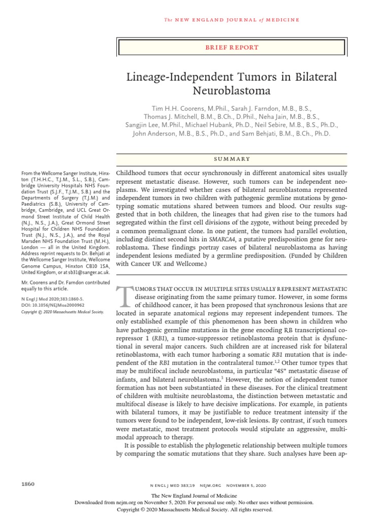 Lineage-Independent Tumors in Bilateral Neuroblastoma: Brief Report ...