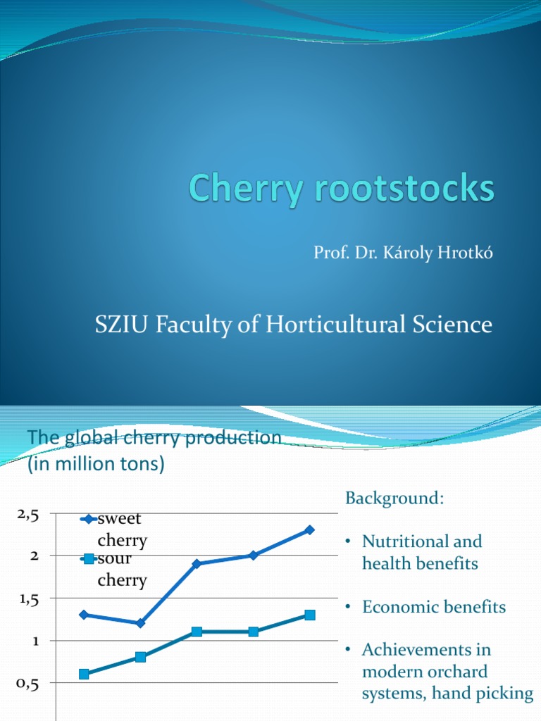 11 - Cherry Rootstocks | PDF | Cherry | Trees