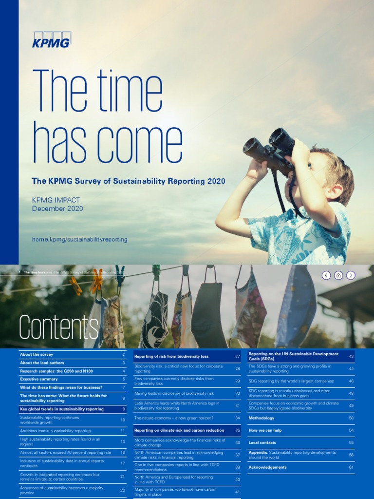 KPMG's Global Survey of Sustainability Reporting 2020 | PDF ...