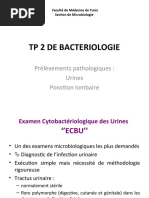 Examen de coproculture des selles | PDF | Salmonelle | Bactérie