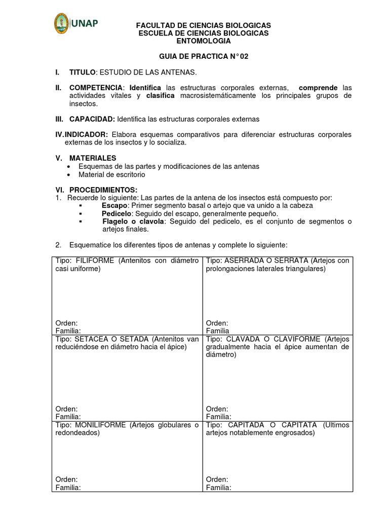 Tipos de antenas de los insectos | PDF | Insectos | Organismos
