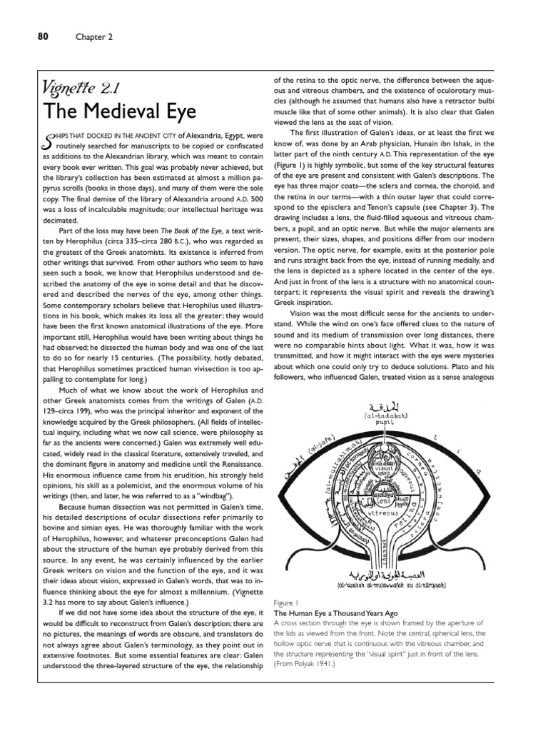 The Medieval Eye: Vignette | PDF | Optics | Eye