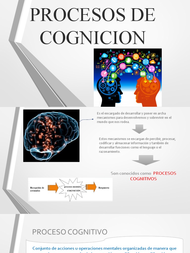 Procesos de Cognicion | PDF