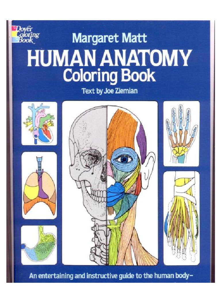 Anatomy Coloring Book Overview | PDF | Computers