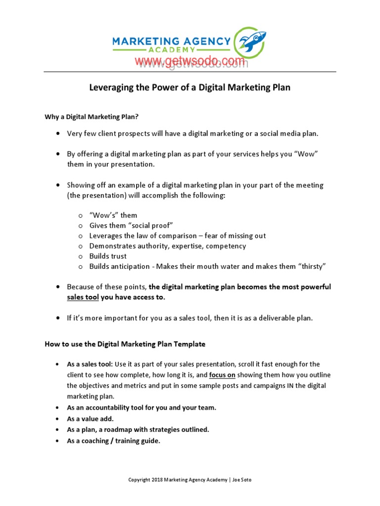 02 - Leveraging The Digital Marketing Plan (Template) 01 | PDF