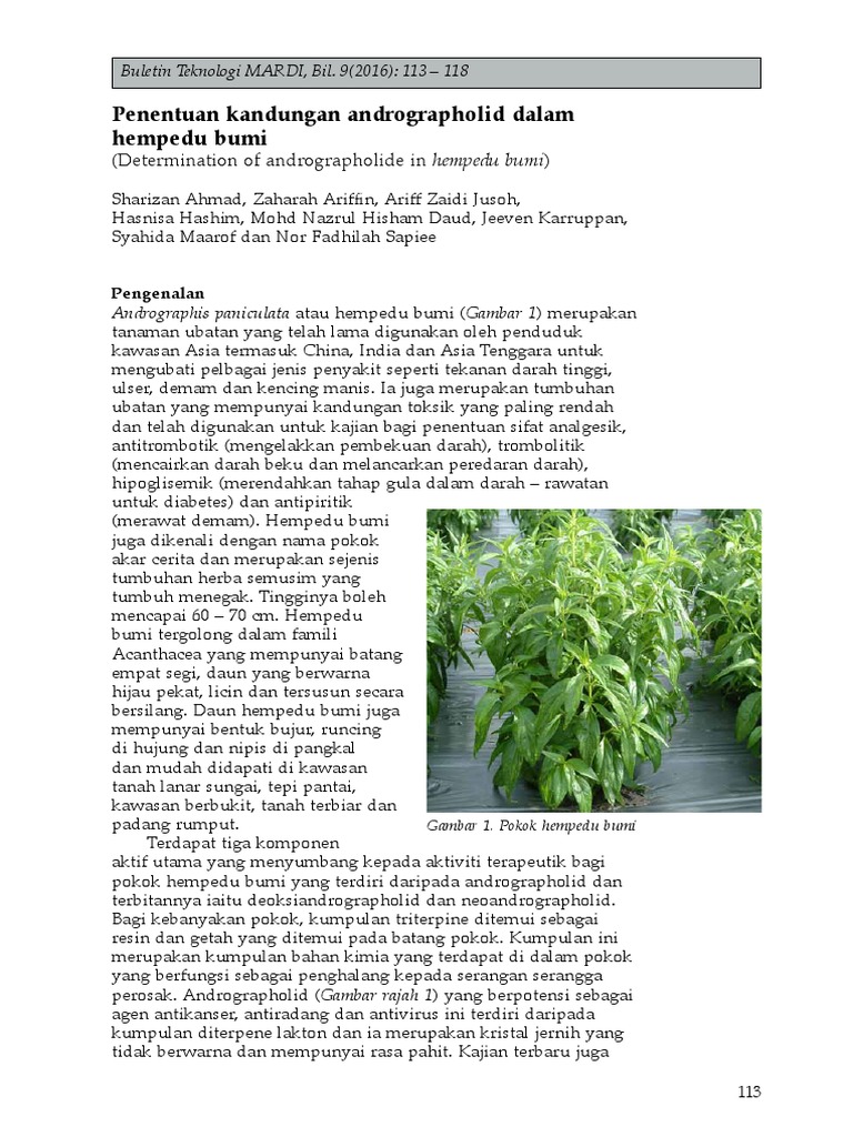 Hempedu Bumi | PDF