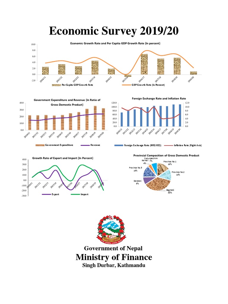 Economic Survey 2019 - 20201125024153 | PDF | South Asia | Gross ...