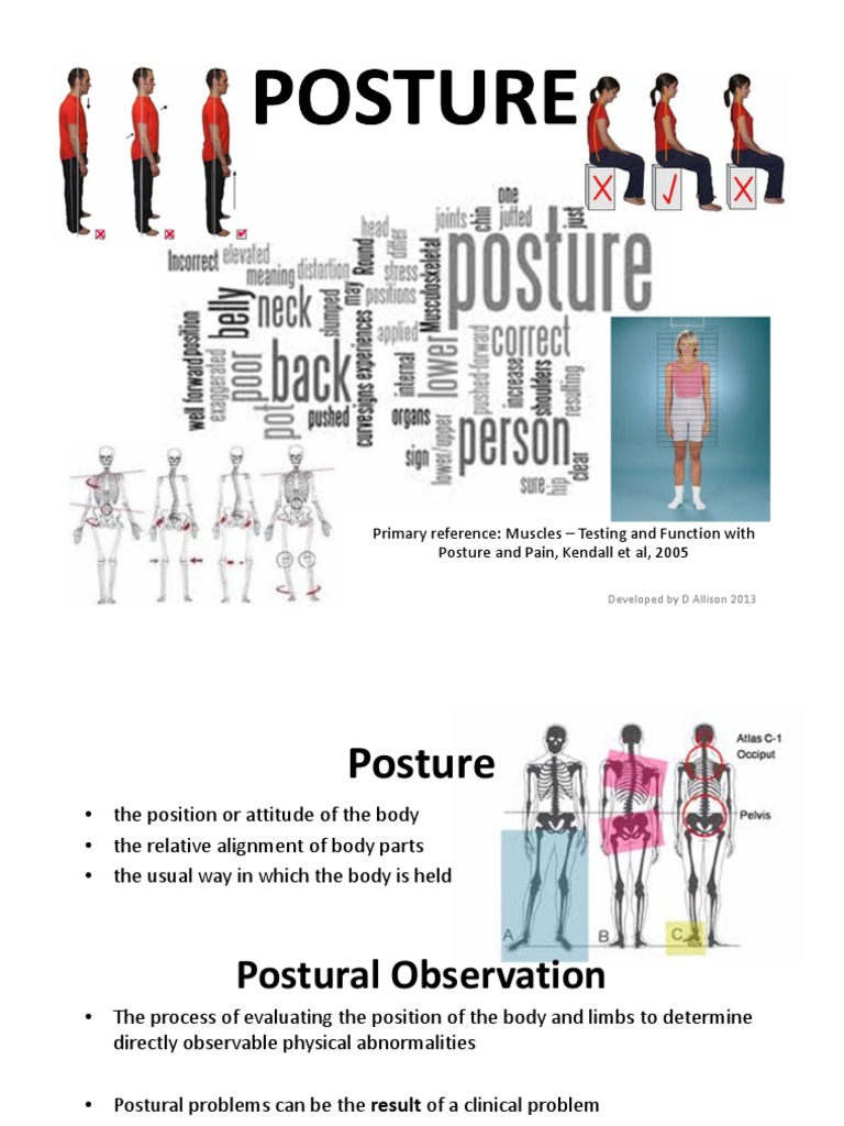 4 +posture+1pp | PDF | Pelvis | Anatomical Terms Of Motion