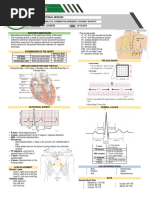 Geekymedics Com How To Read An Ecg | PDF | Electrocardiography ...