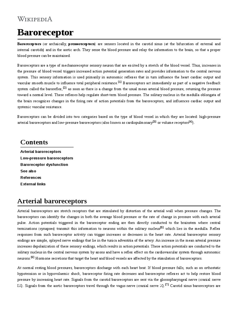 Baro Receptor | PDF | Human Anatomy | Physiology