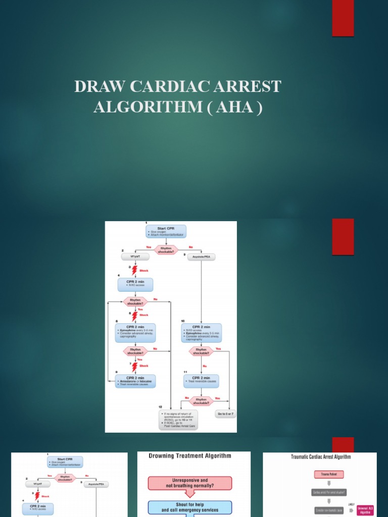Draw Cardiac Arrest Algorithm (Aha) | PDF | Cardiopulmonary ...