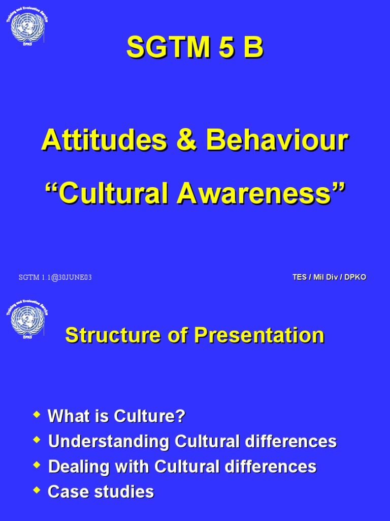 SGTM 5 B Attitudes & Behaviour " Cultural Awareness" | PDF ...