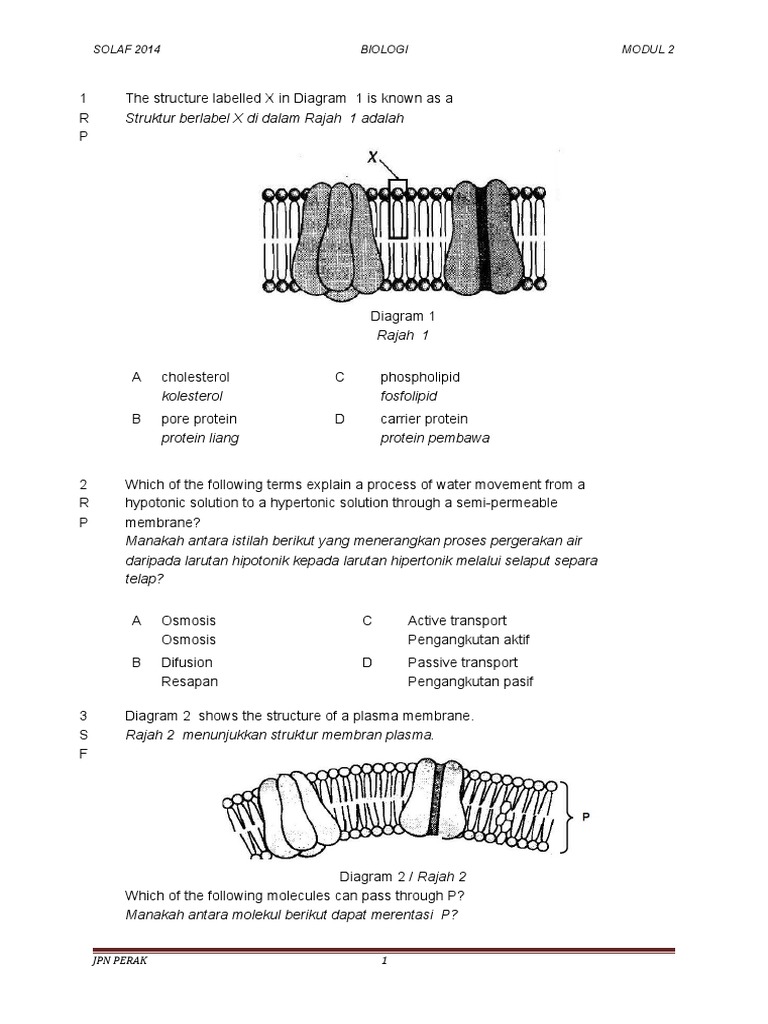 3 (Movement of Substances Across Plasma Membrane) | PDF | Osmosis ...