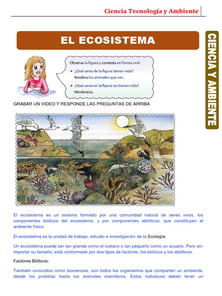 El Ecosistema | PDF | Ecosistema | Organismos