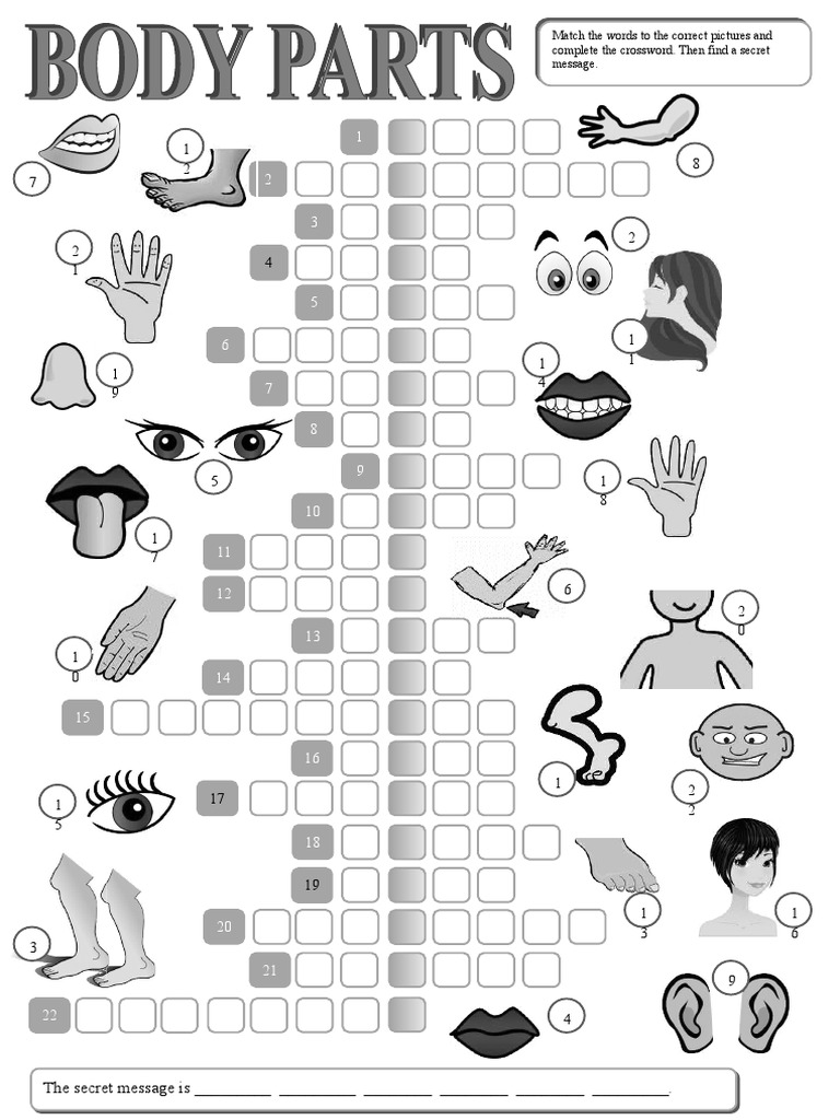 Body Parts Crossword Games - 12656 | PDF | Word Puzzles | Puzzles