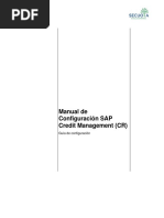 Compensación EM/RF en SAP F.19 | PDF
