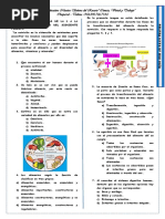Dieta Borregos Sr. Rafa Hernandez | PDF | Maíz | Oveja