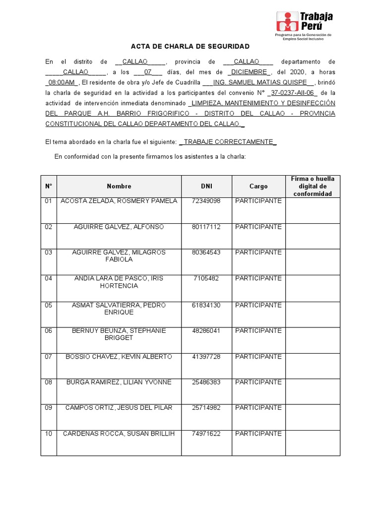 Acta de Charla de Seguridad 3 | PDF