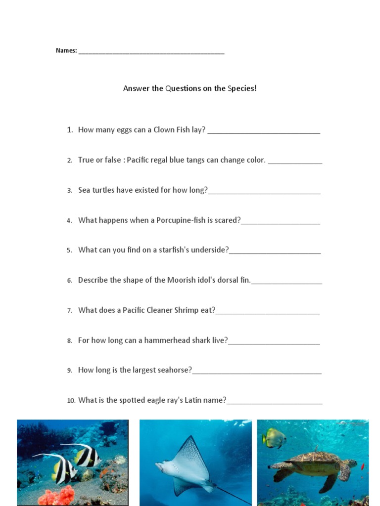 Marine Species Quiz Questions | PDF | Foreign Language Studies