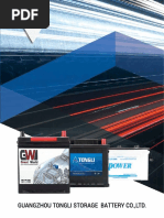 Basic Introduction - TDSG | PDF | Lithium Ion Battery | Electric Vehicle