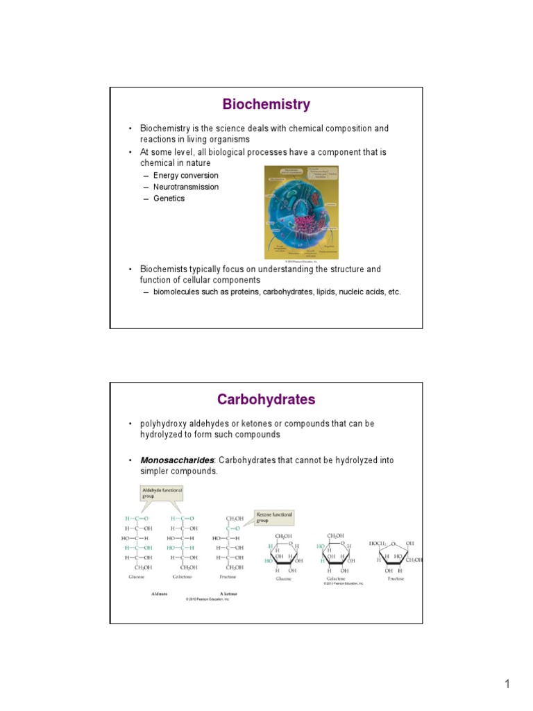 Biochemistry PDF | PDF | Dna | Rna